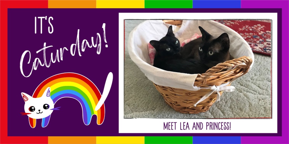Jazzy Mitchell, Caturday, SapphFic News, Book Deals, and More! - I ...